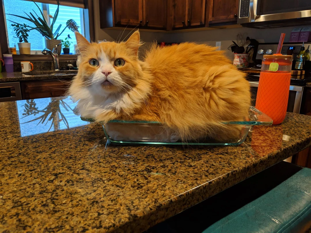 Baked a fresh one! | Scrolller