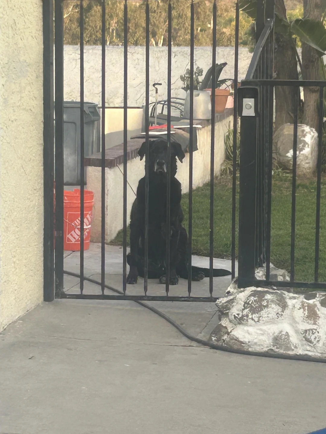 This is my best friend Ted | Scrolller