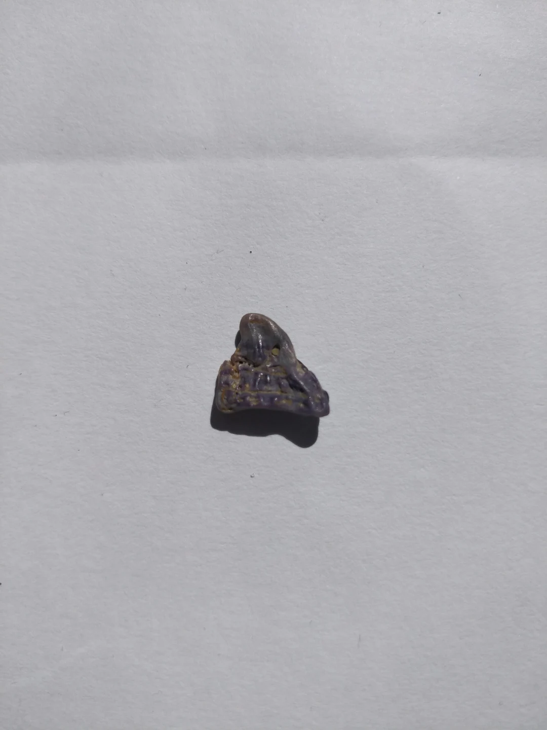 Help. Shark tooth fossil?? | Scrolller