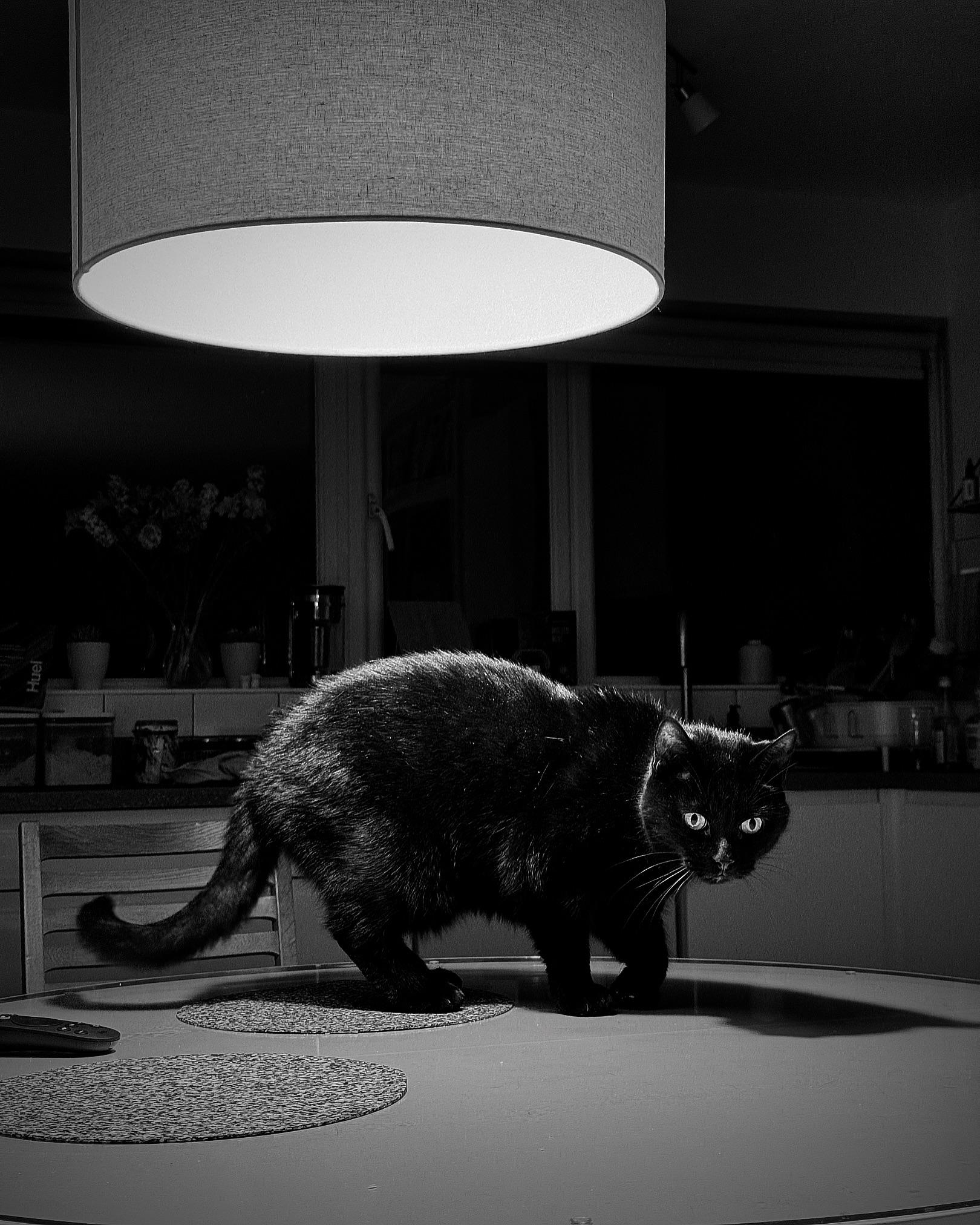 Beam me up. | Scrolller