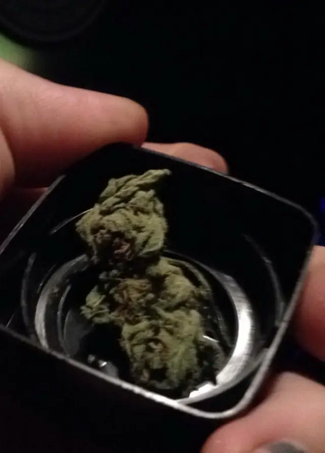 my nug looks like a tiny weed man | Scrolller