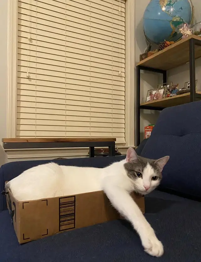 about-to-nap trap | Scrolller