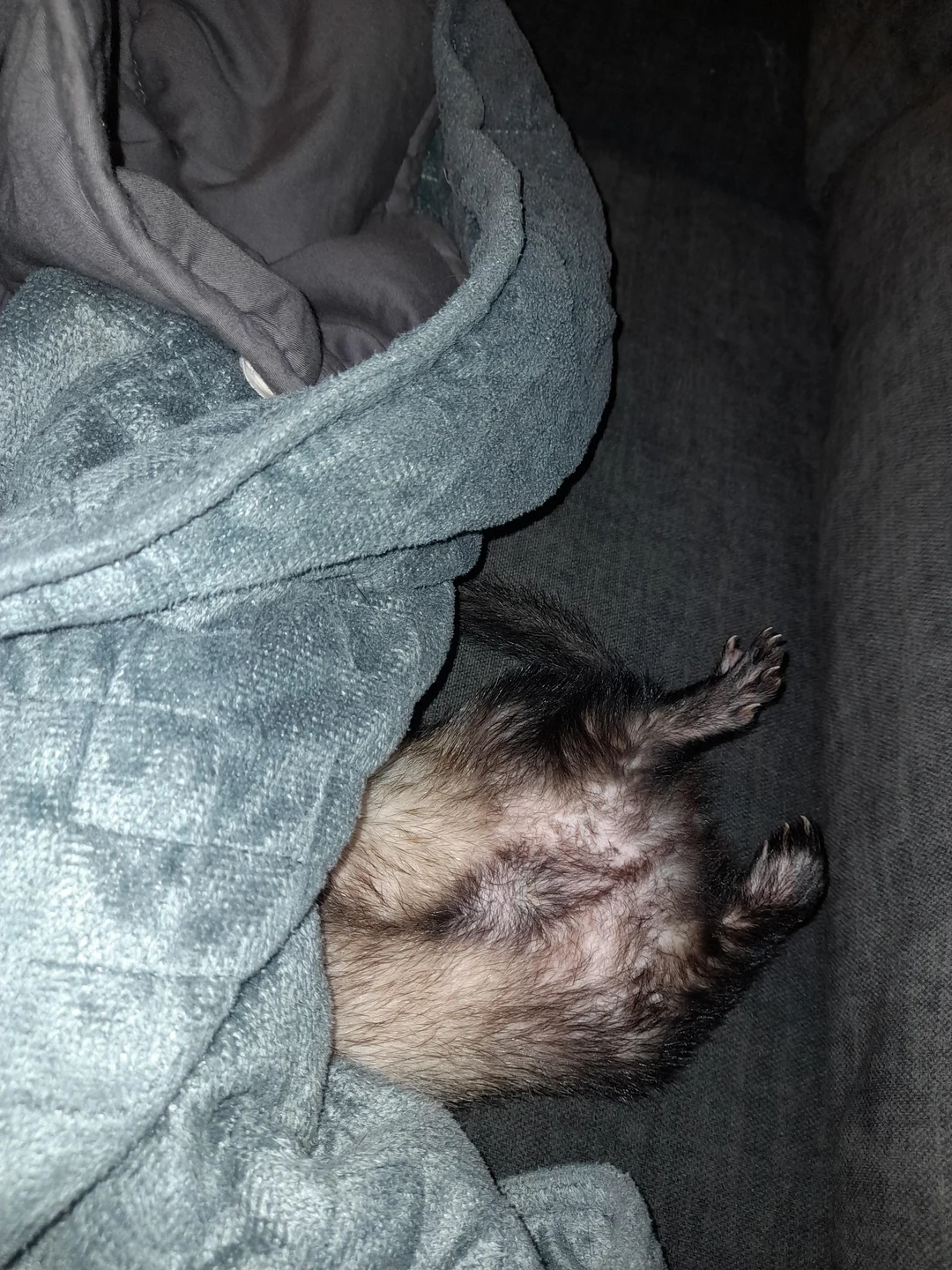 Out Cold Scrolller