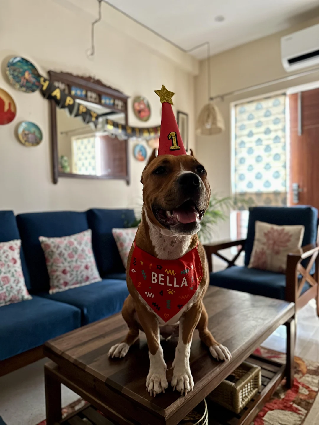 Happy Birthday, Bella | Scrolller