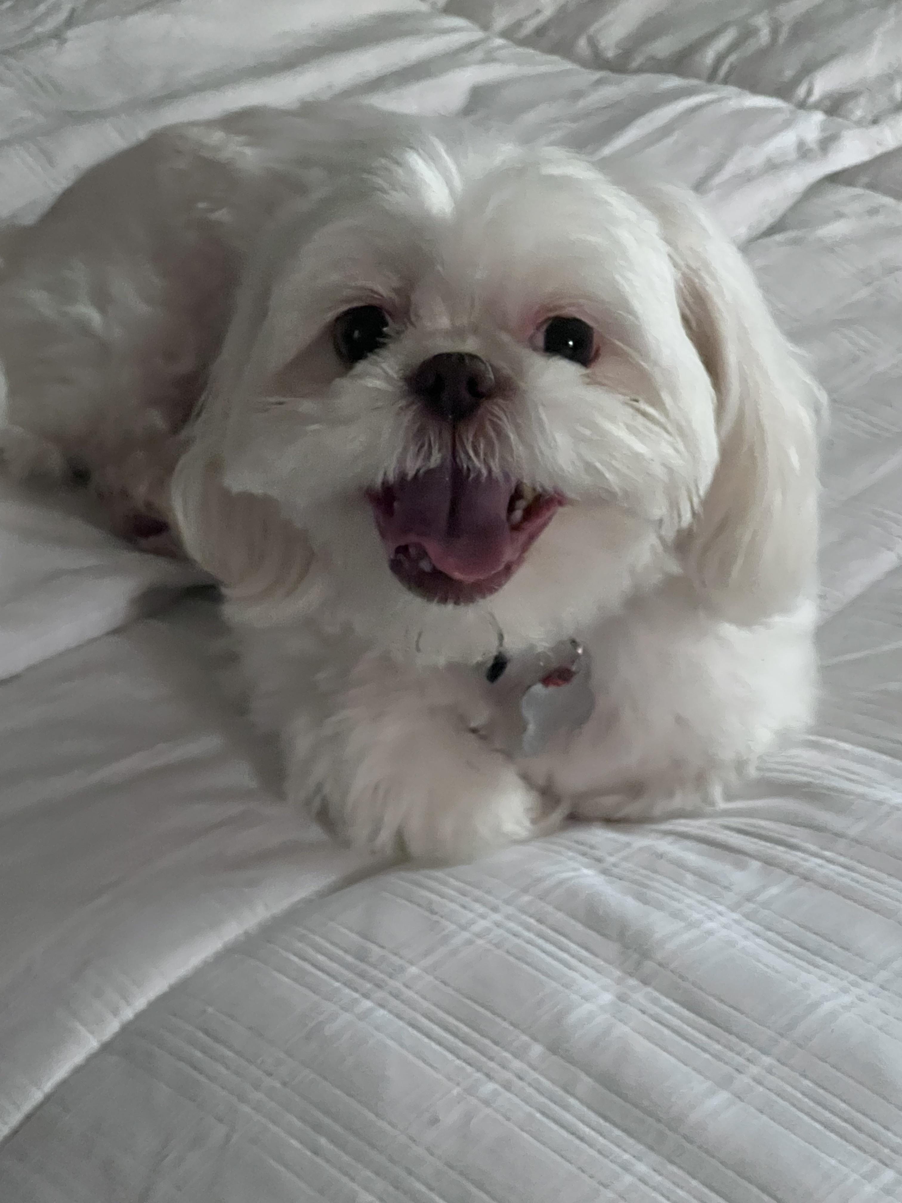 Happy 8th Birthday to my little Prince. | Scrolller