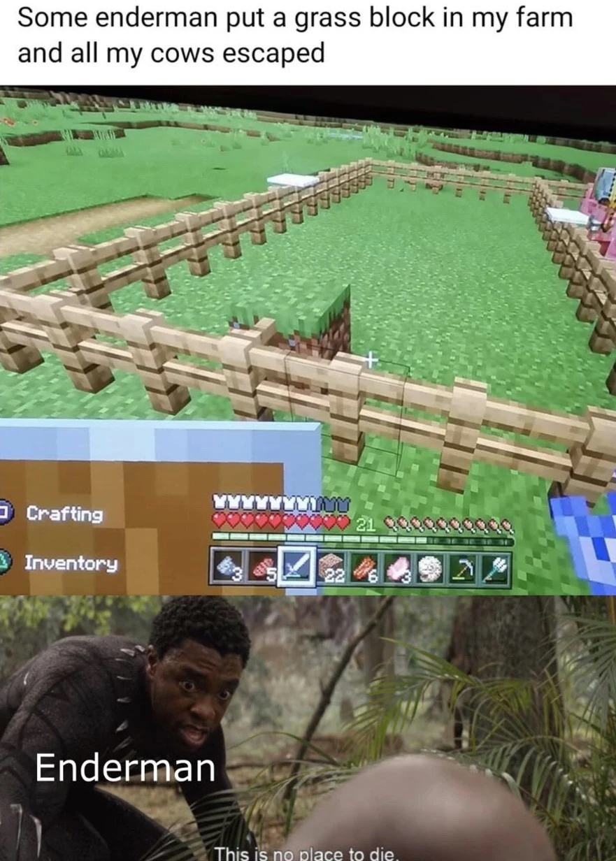 Enderman is a true hero | Scrolller