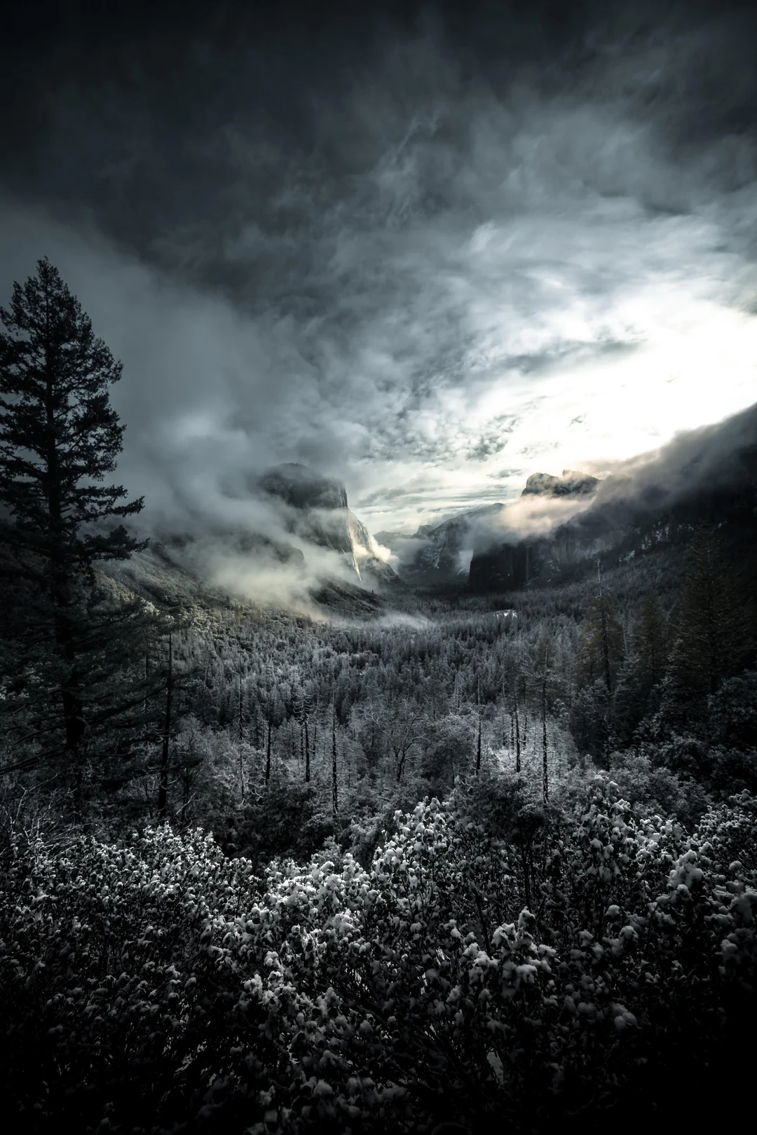Yosemite Tunnel View [OC] [4480x6720] | Scrolller