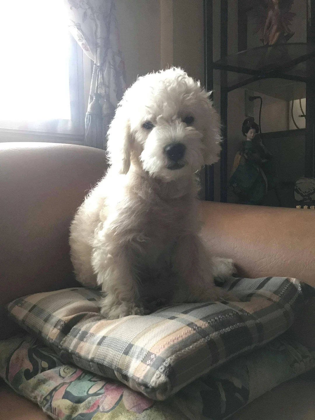 Thank you for the memories | Scrolller