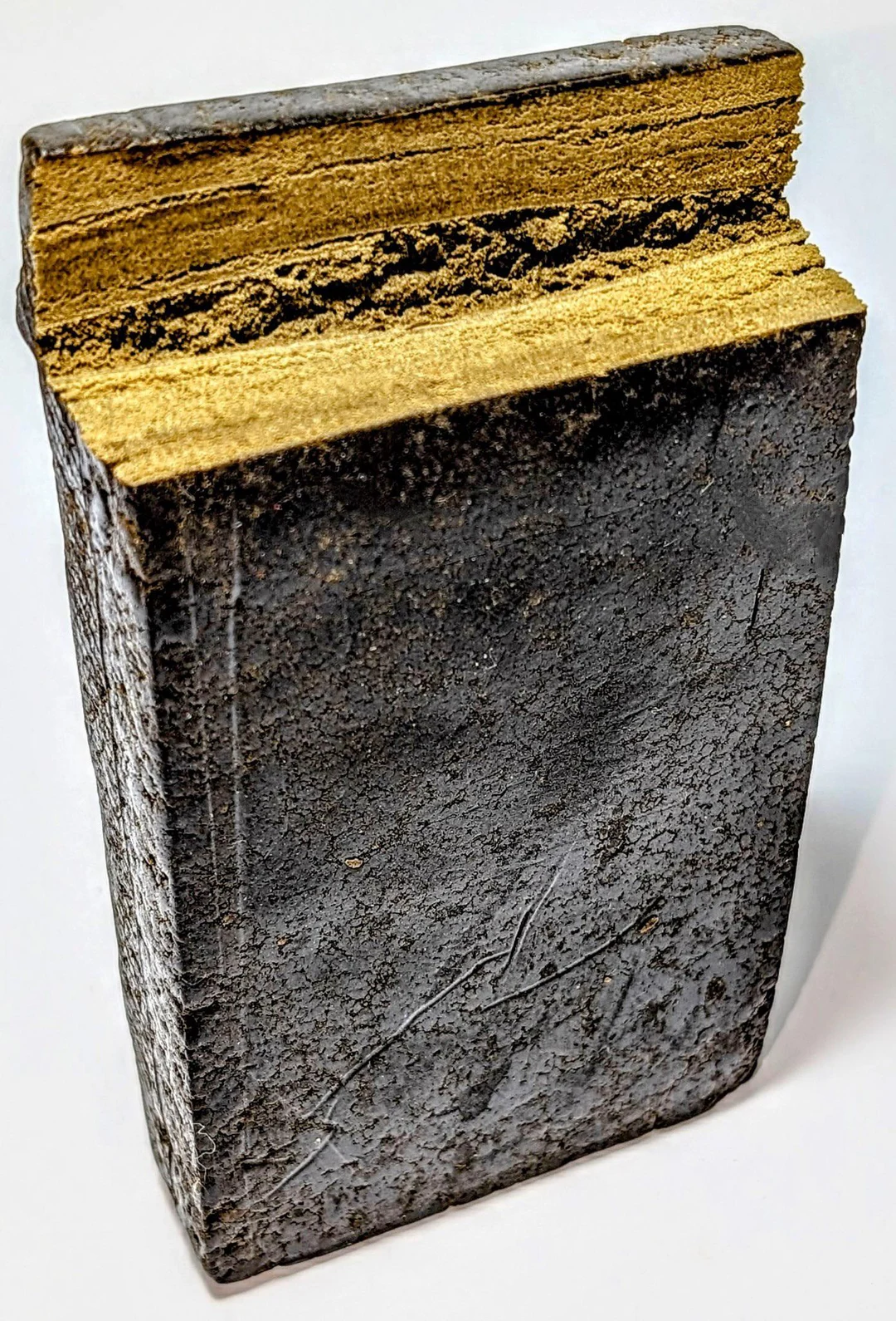 Orange Crush | Scrolller