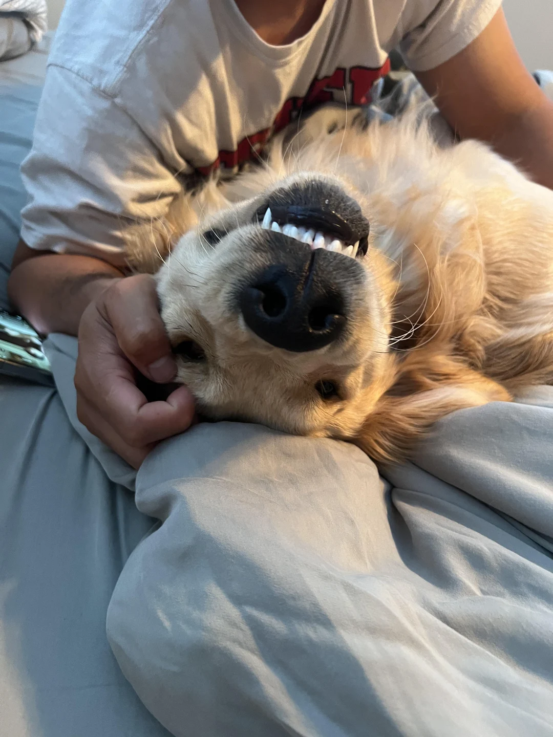 Say “cheese” | Scrolller