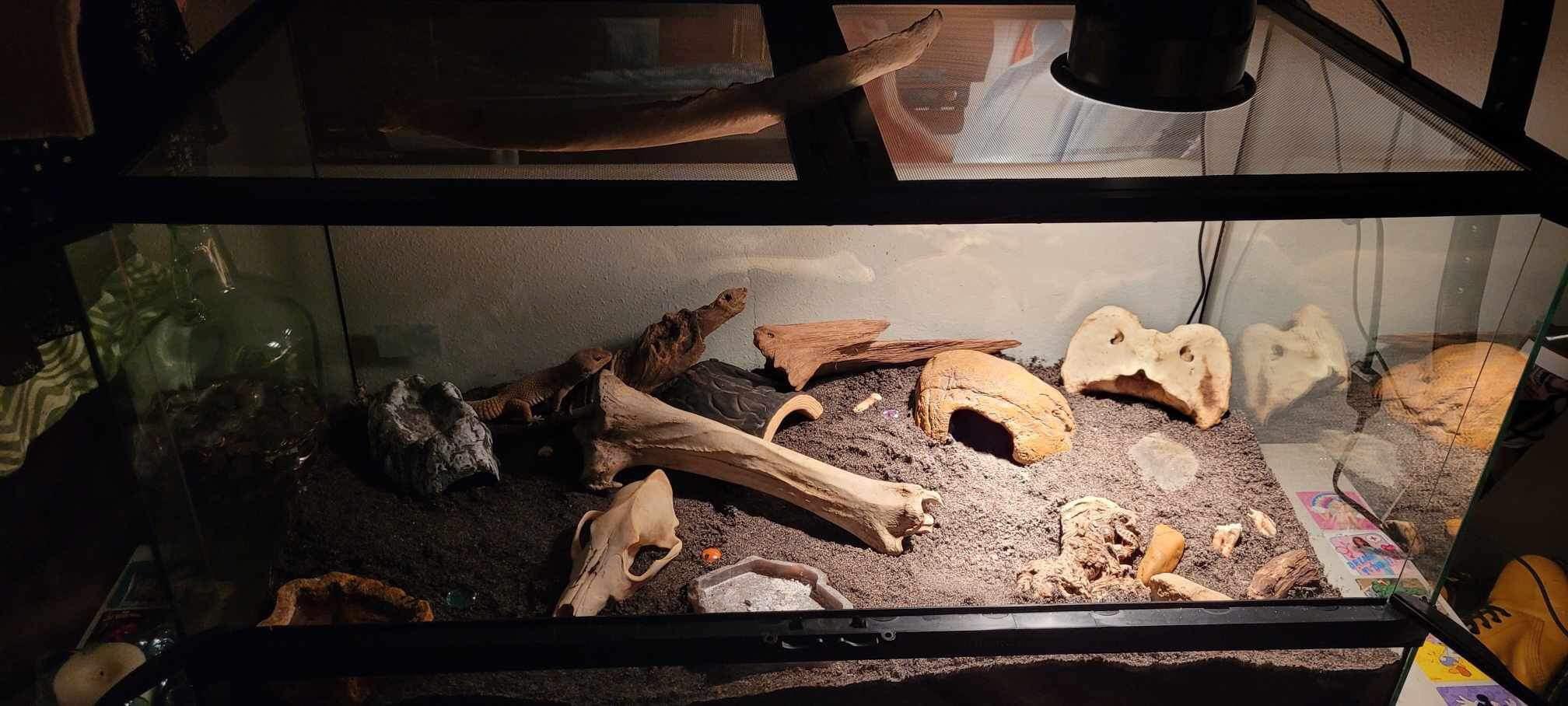 Finally got my boy an upgrade! | Scrolller