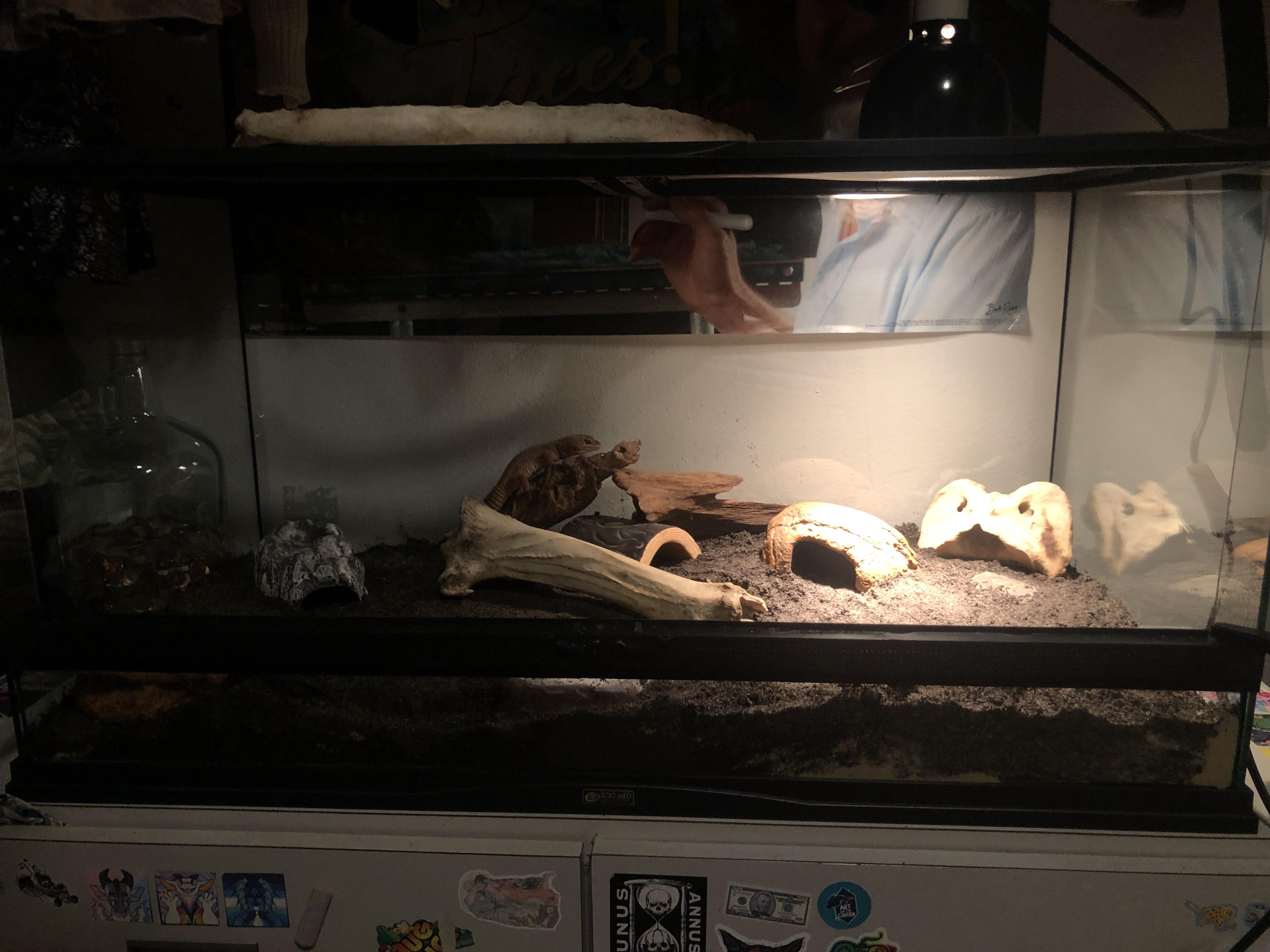 Finally got my boy an upgrade! | Scrolller