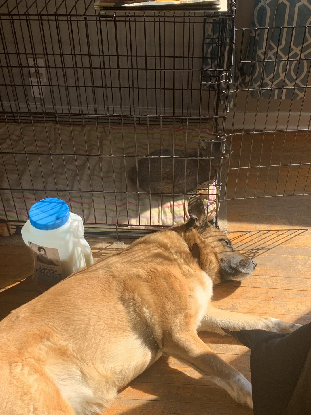 The robber and the victim. | Scrolller