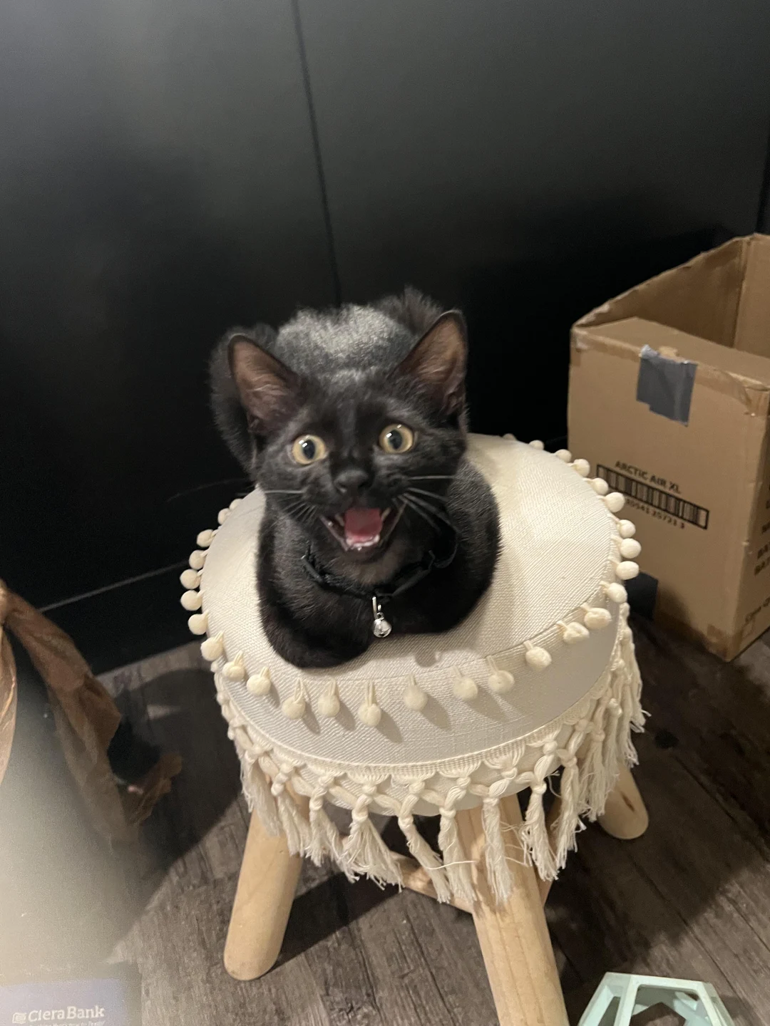 Burnt happy loaf | Scrolller