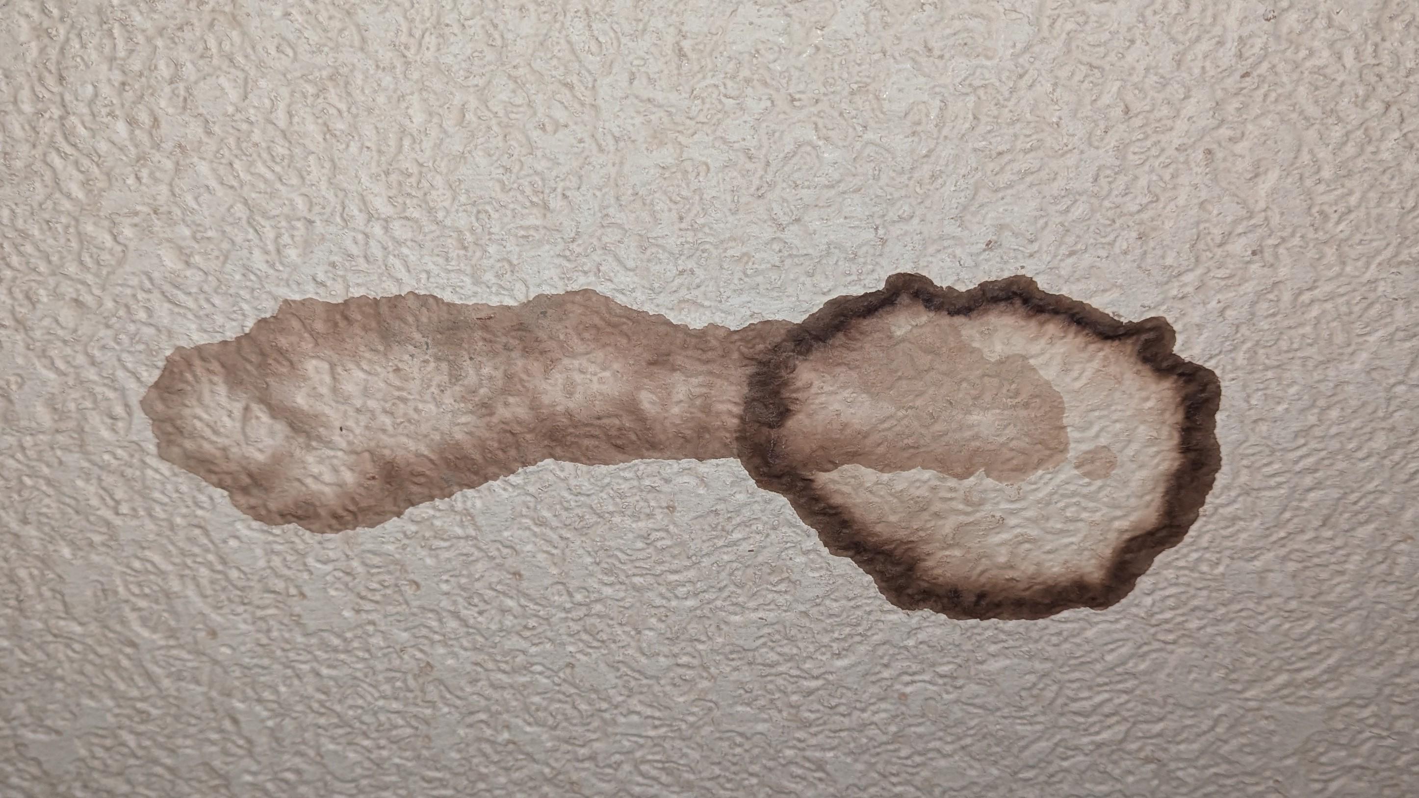 This water stain on my basement ceiling. | Scrolller