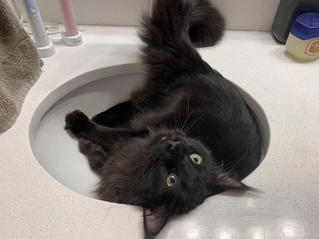 Got a bit of a hair clog in the sink. | Scrolller