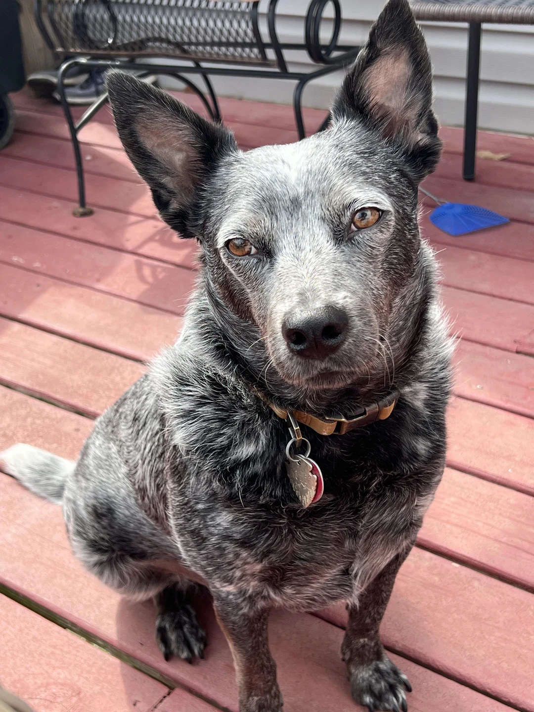 Repping that “Blue Steel” *shoutout Zoolander | Scrolller