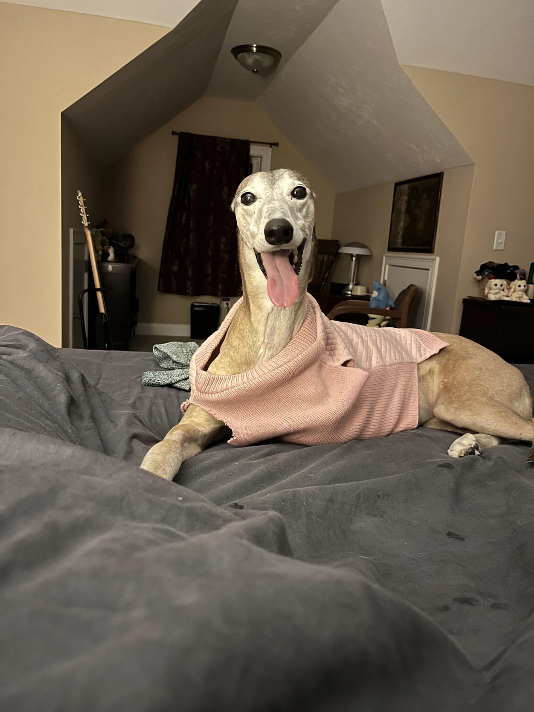 Never should have doubted.. | Scrolller