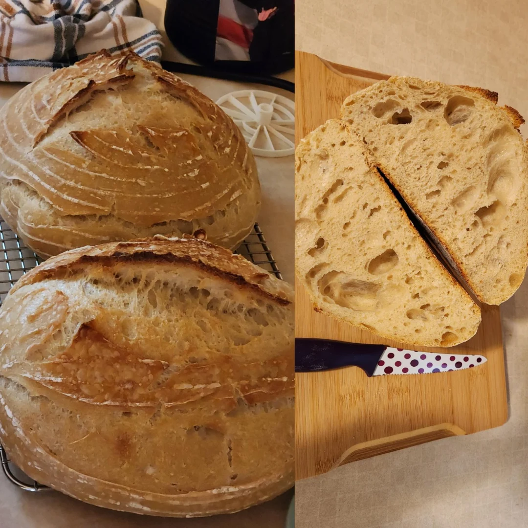 Sourdough batch#2a | Scrolller