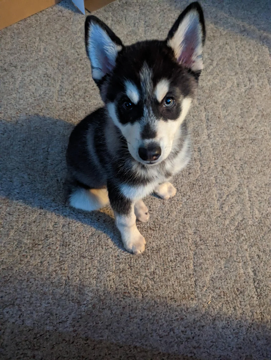 So handsome | Scrolller