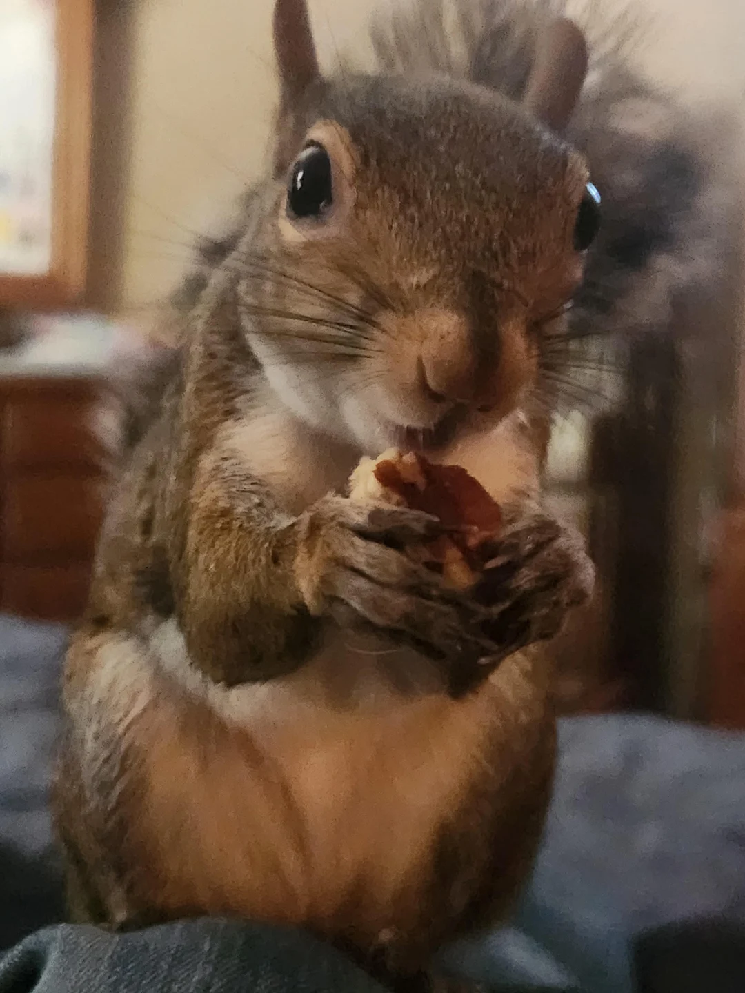 Peaches looking cute today | Scrolller