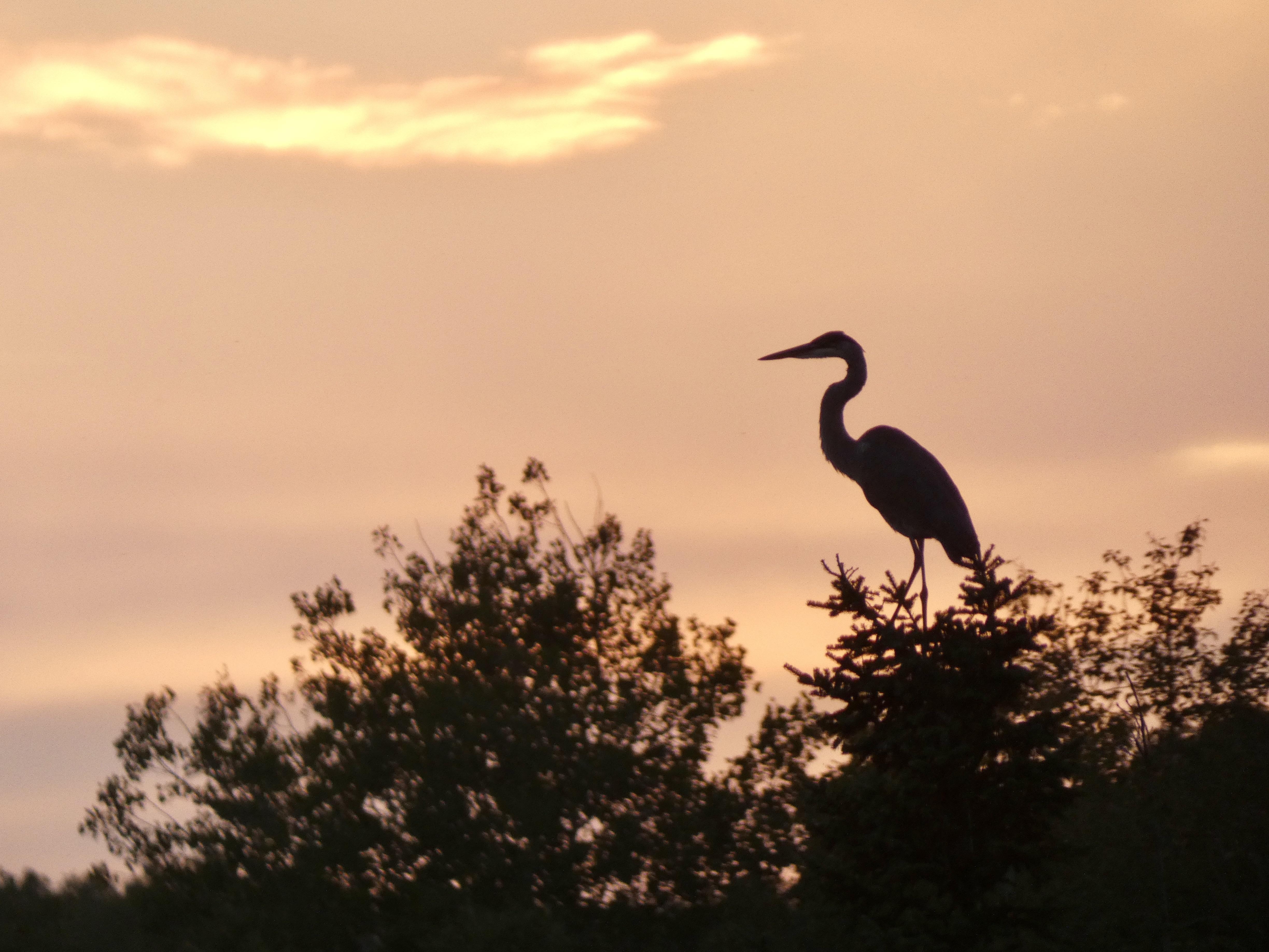 Perfect lineup | Scrolller