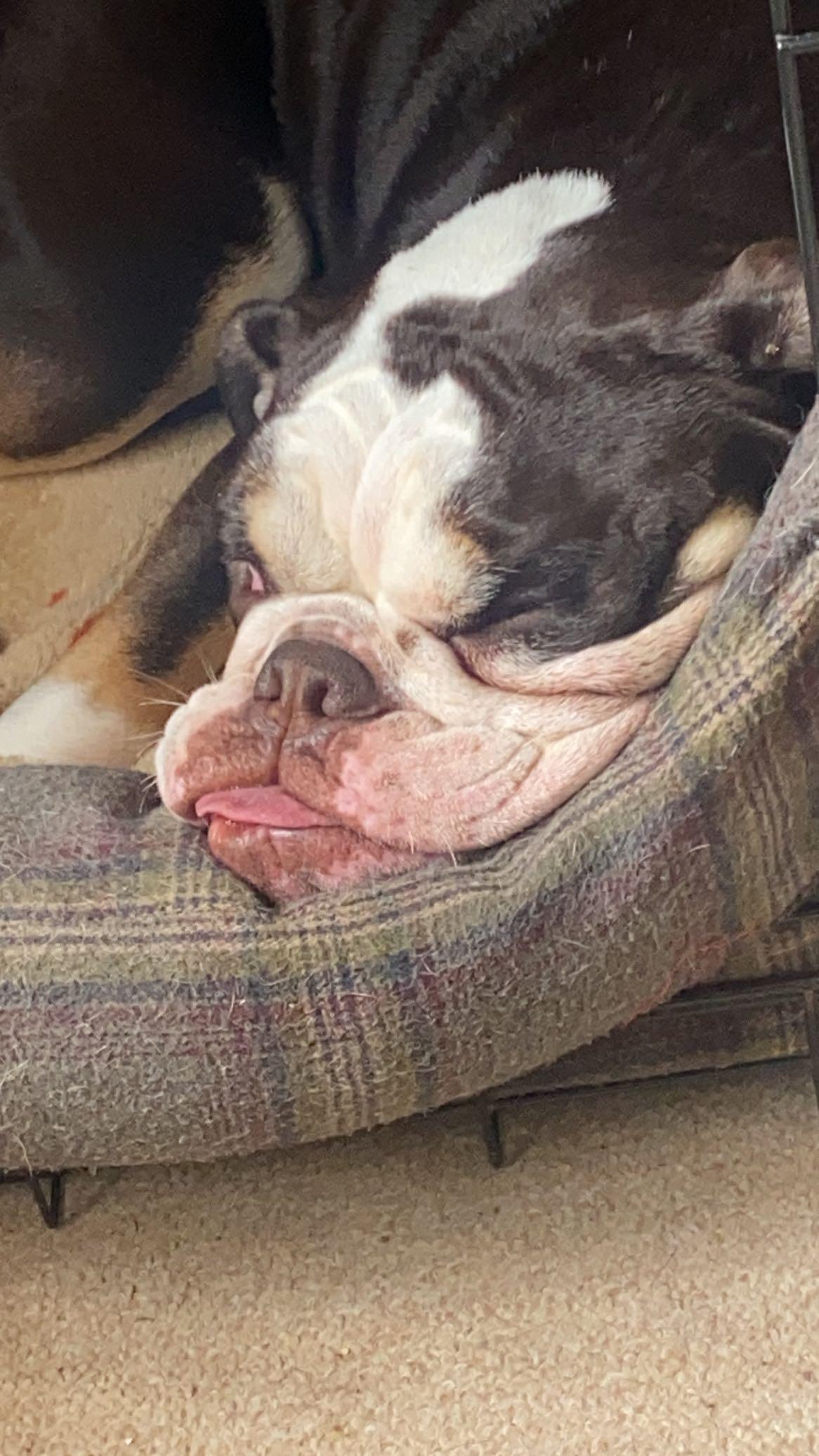 Derp 👅 | Scrolller