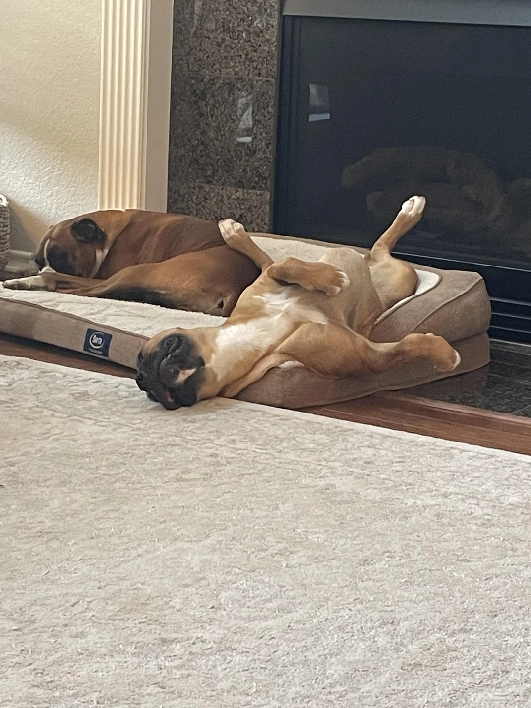 Totally normal. | Scrolller