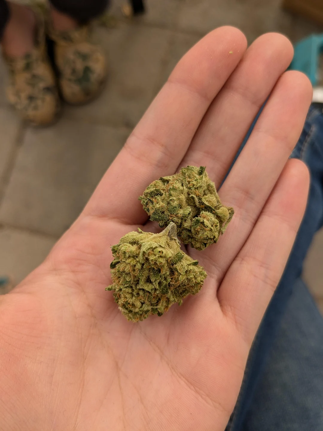 Cartoon weed | Scrolller