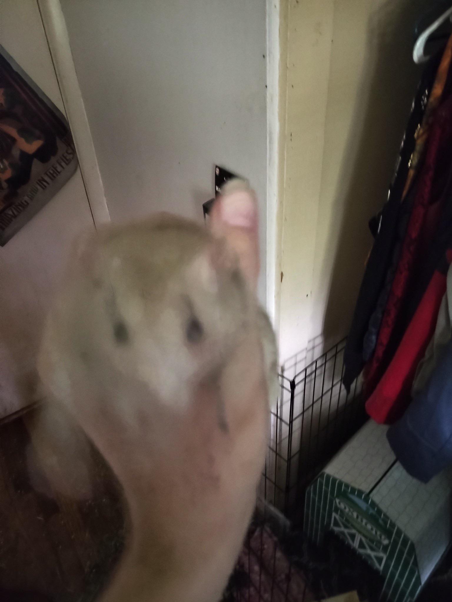 C A P T U R E | Scrolller