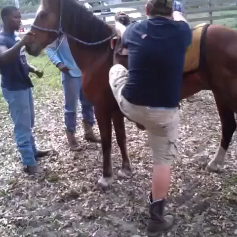 Headshot | Scrolller