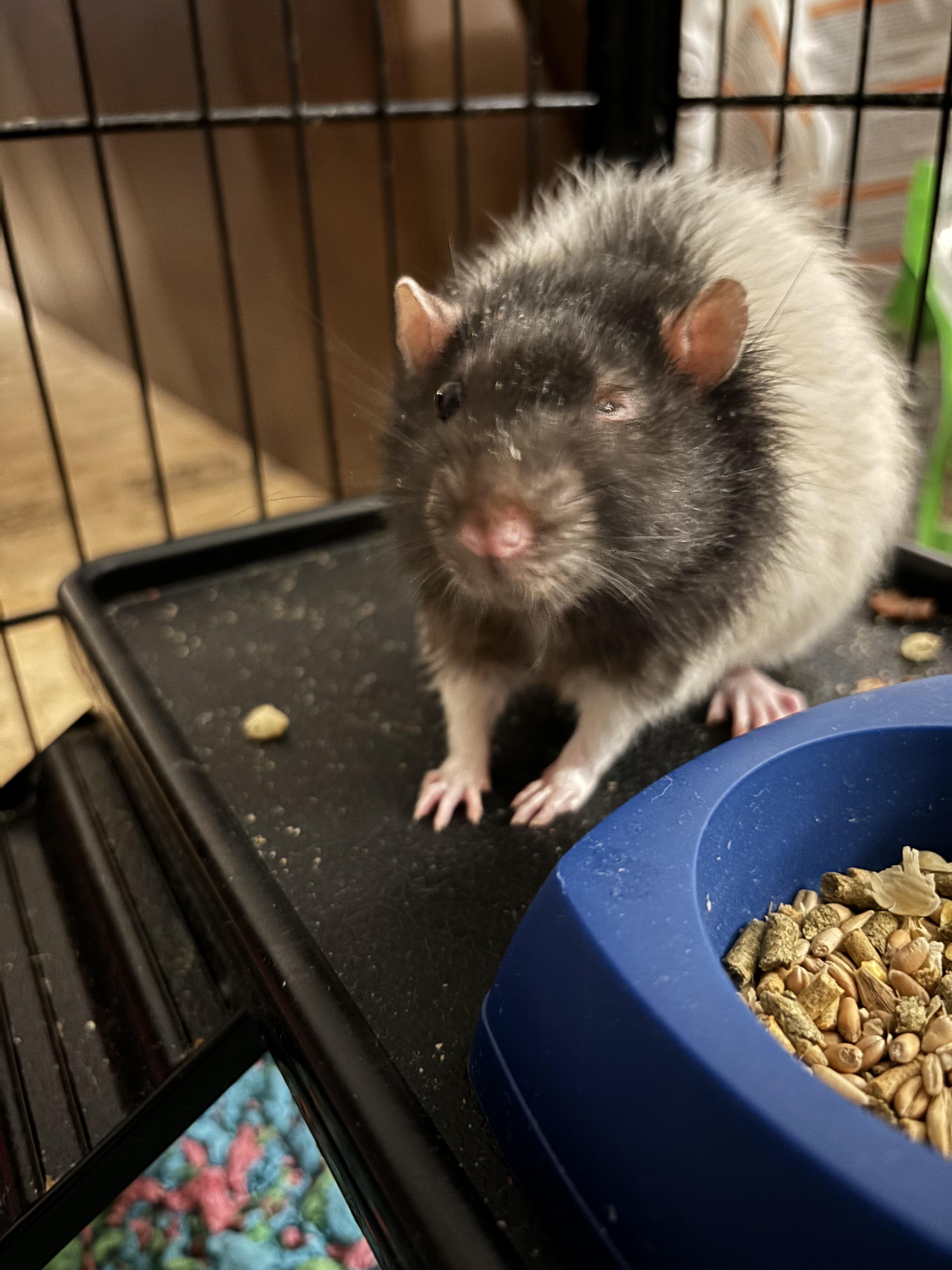 UPDATE: “I’m Scared” | Scrolller