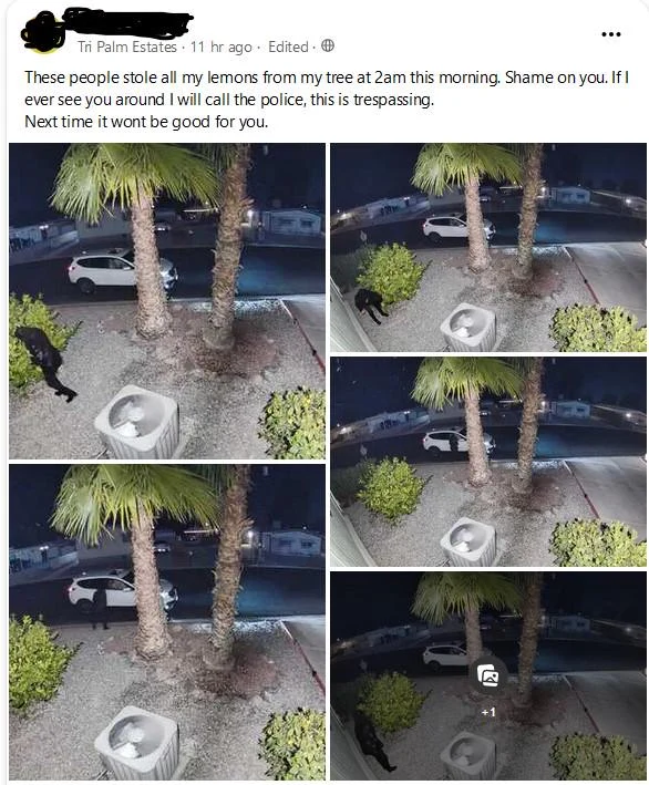 Lemon Stealing ****** spotting in Tri-Palms | Scrolller