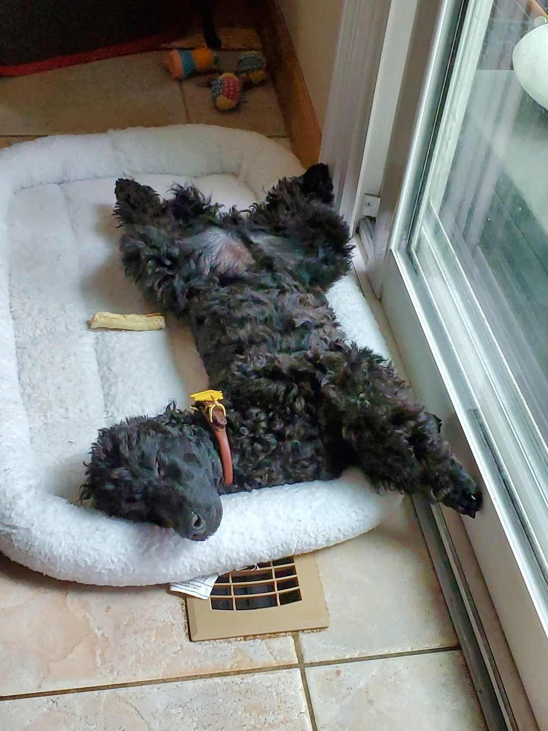 a very comfortable position, i’m sure. | Scrolller