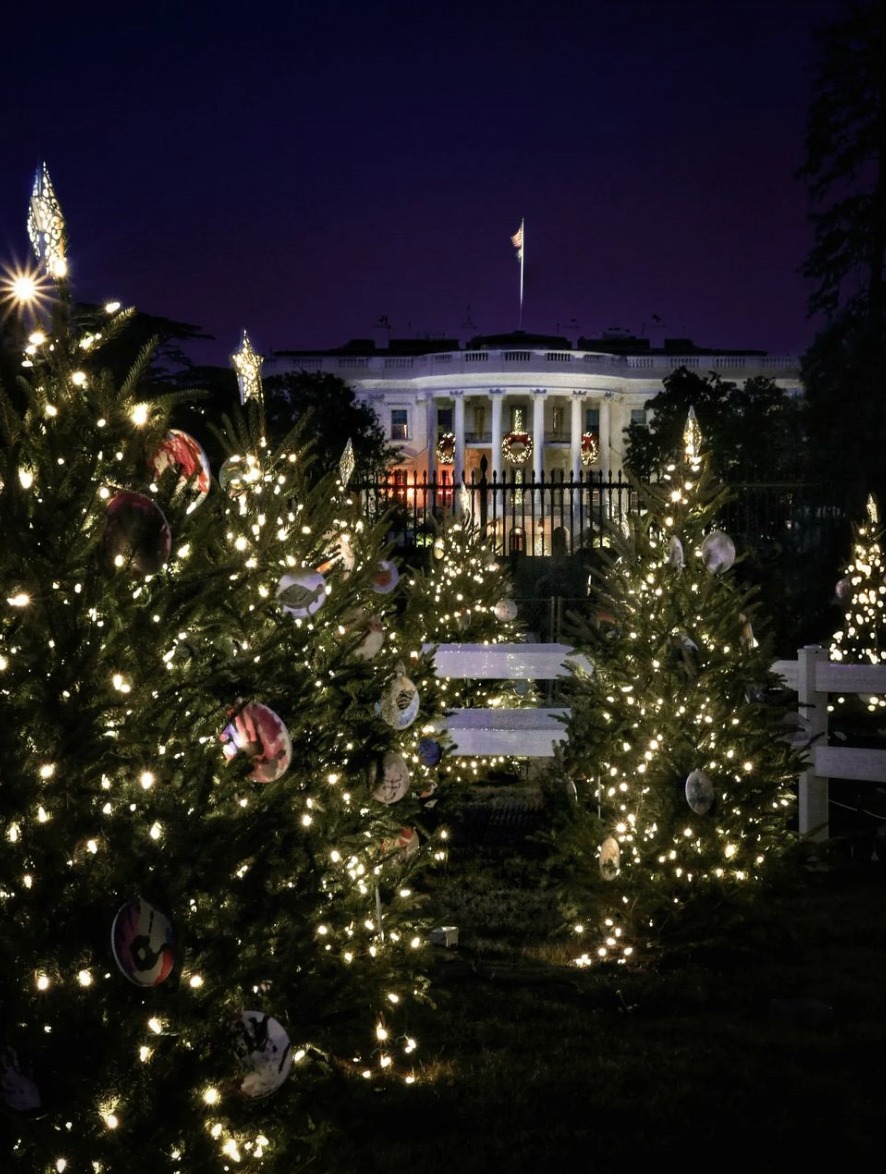 Washington DC | Scrolller