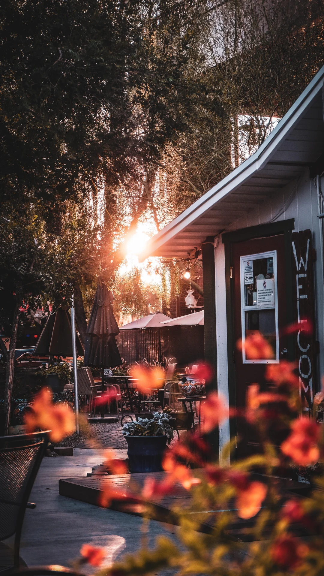 A cozy, welcoming scene at my local coffee shop | Scrolller