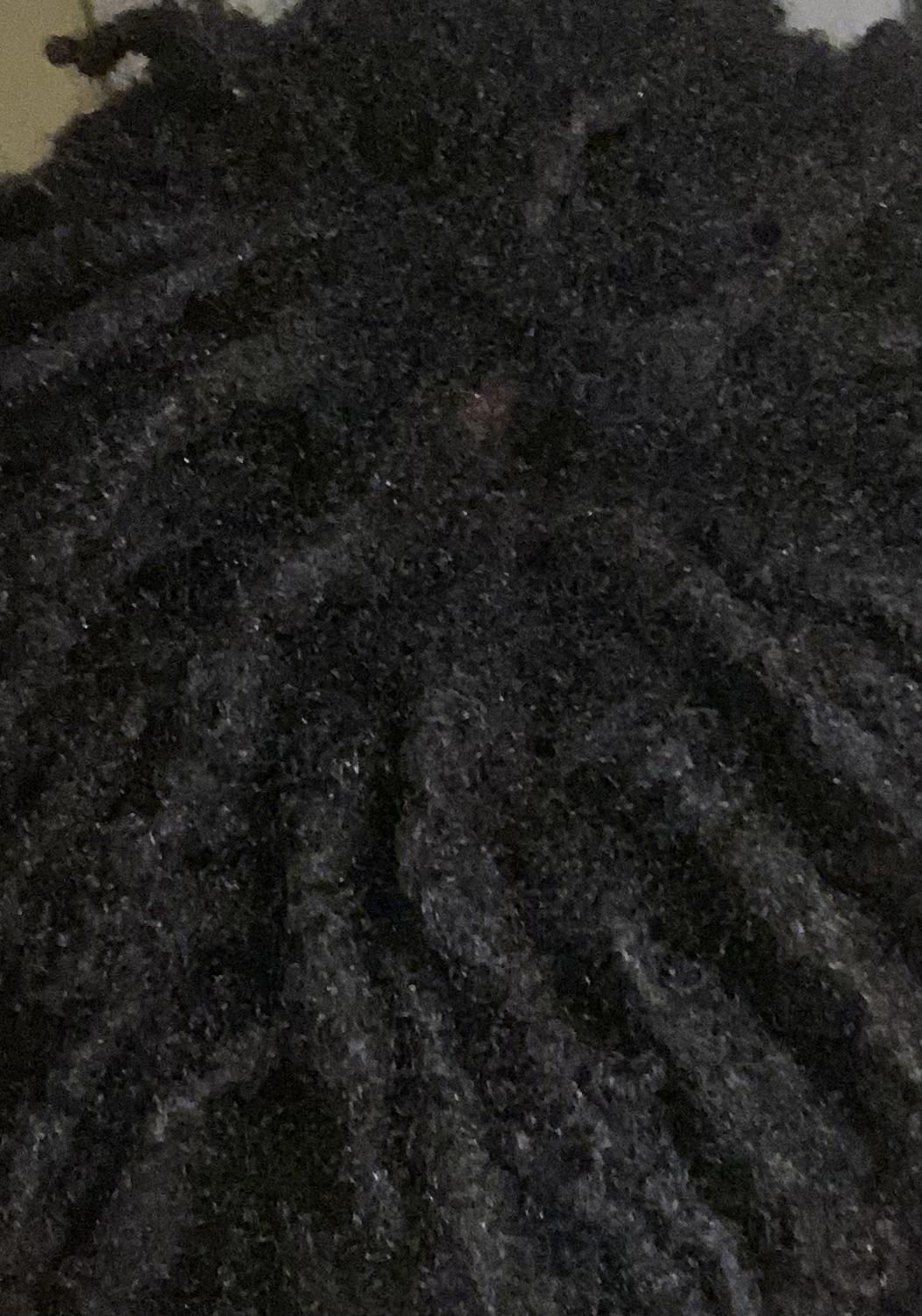 What could cause this? This is the only bald spot I have. Anything tried in that spot just dies ...