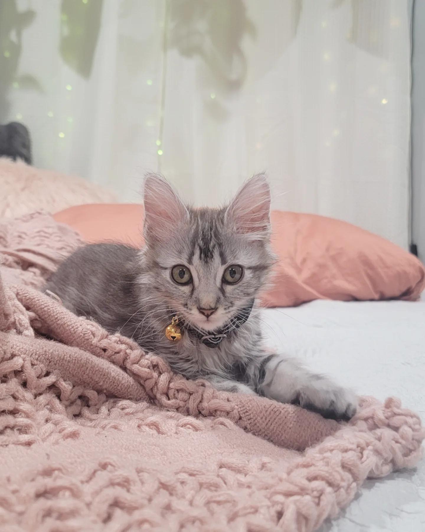 [OC] how is she so pretty 😭 i'm so lucky | Scrolller