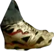 Help identify sneaker. POTATO PIC WARNING | Scrolller