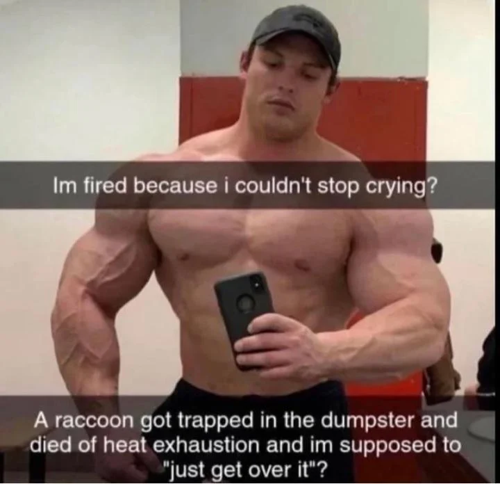 Average r/Raccoons user | Scrolller