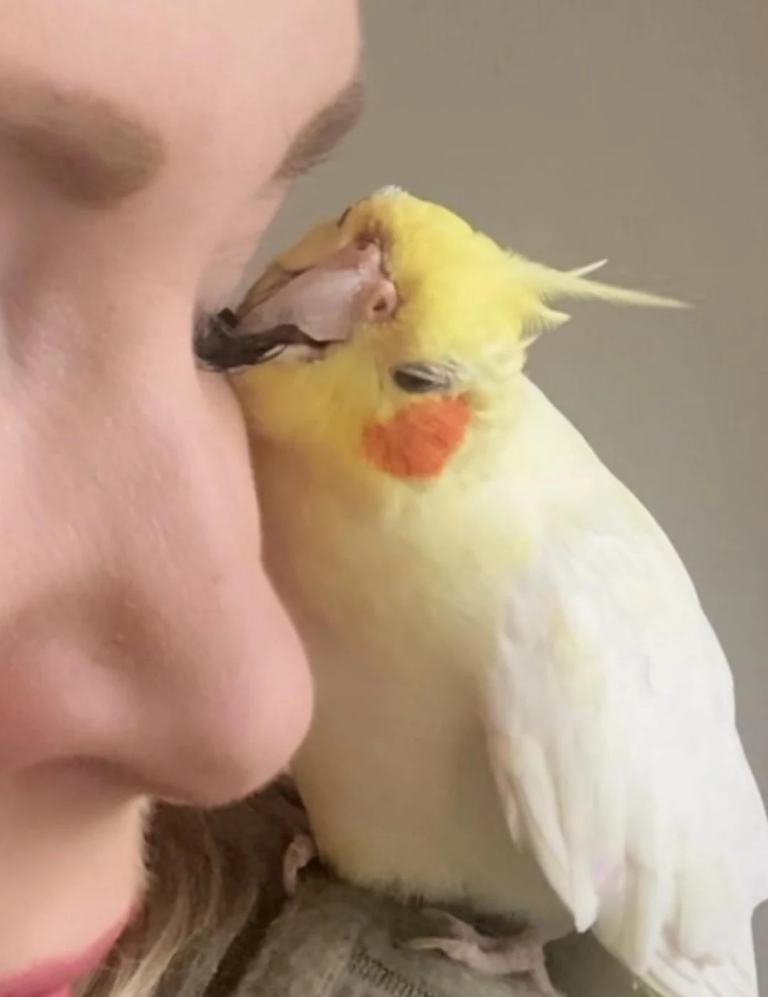 Absolute obsession with my eyelashes 😂 | Scrolller