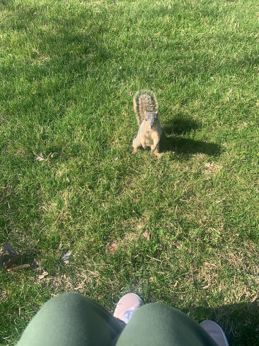 Square up | Scrolller