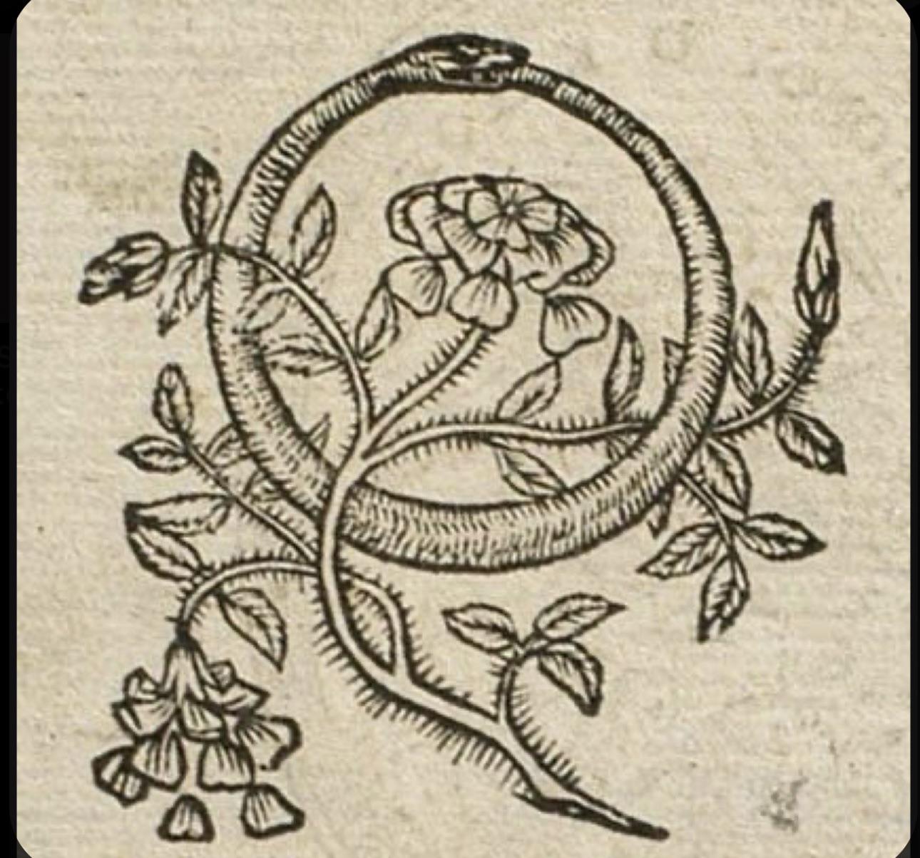 Placement advice needed. Piece being done by Ivy at Noble Tattoo in Boone, NC | Scrolller