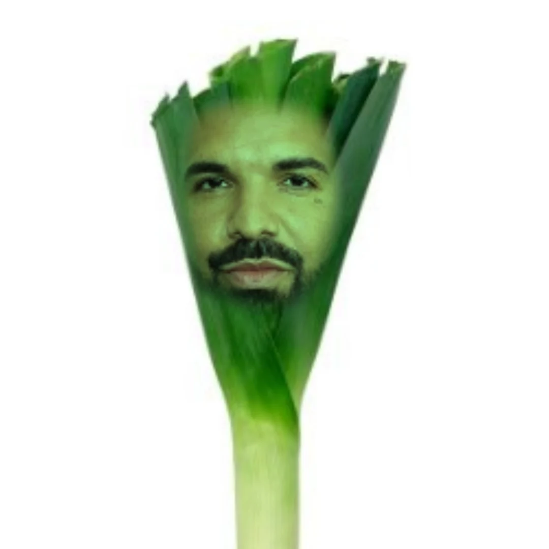 The new drake leak...🫢 | Scrolller