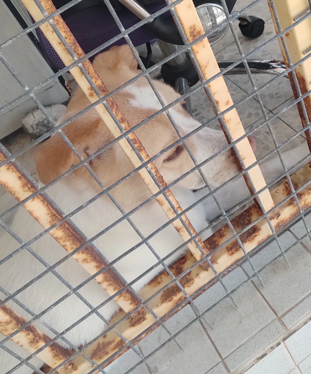 Alf. View from outside the balcony. | Scrolller