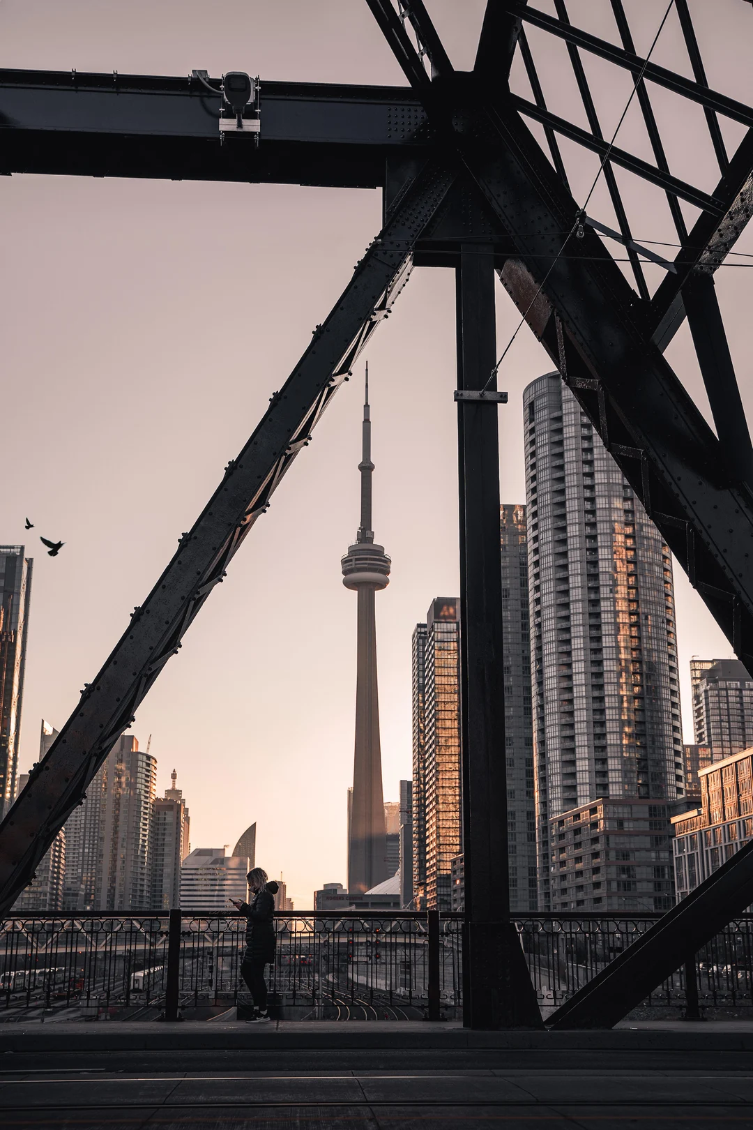 Toronto, ON | Scrolller