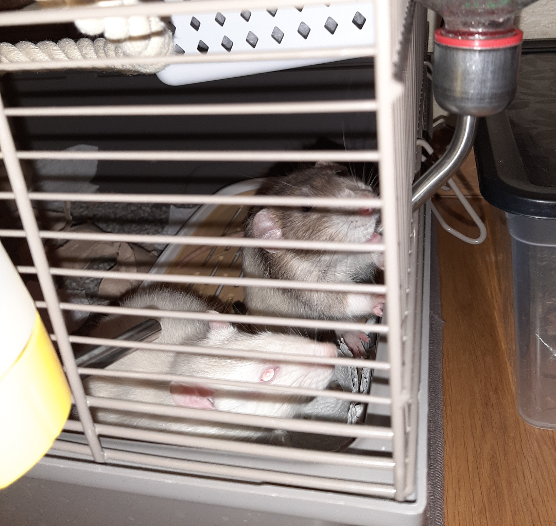 (cursed flash pic) the impossible!! | Scrolller