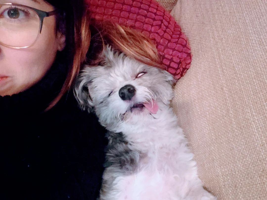 How my dog naps | Scrolller