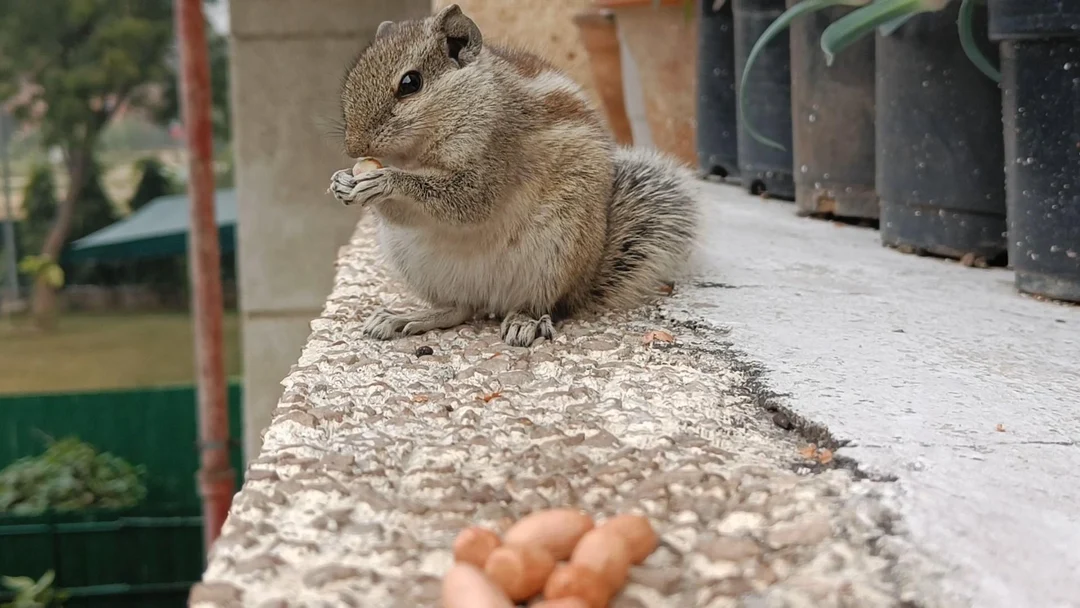 Is she preggers? She looks so round. | Scrolller