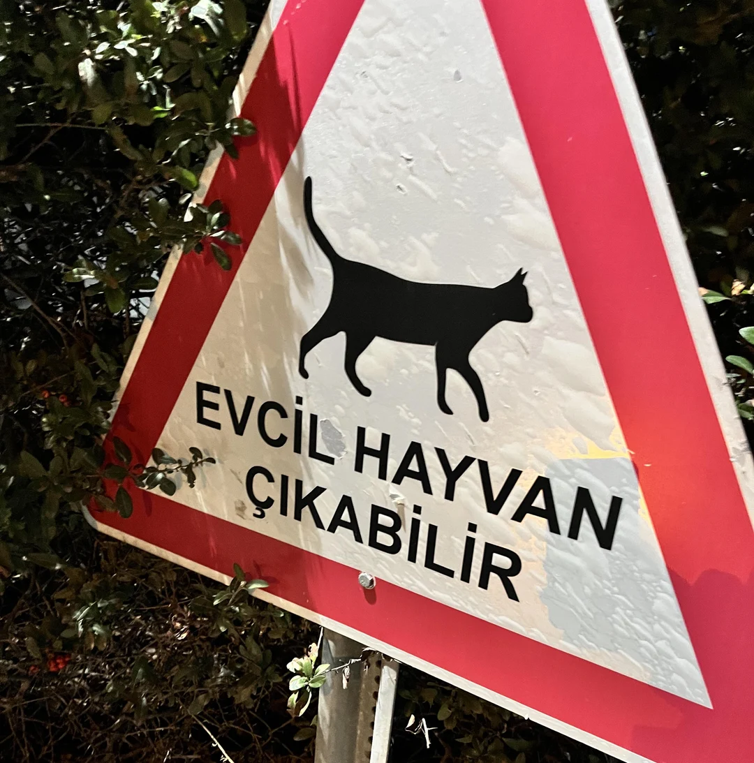 Translation please? | Scrolller